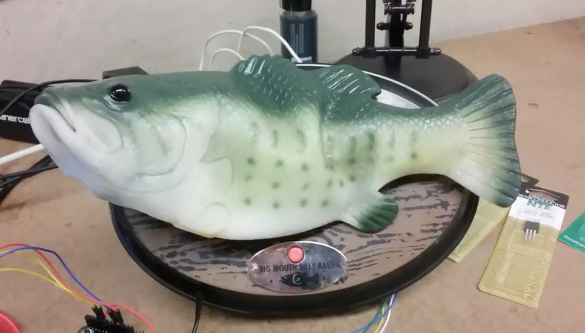 Singing Fish mit Amazon Alexas Assistent ist der Held des Internets geworden 10144_0