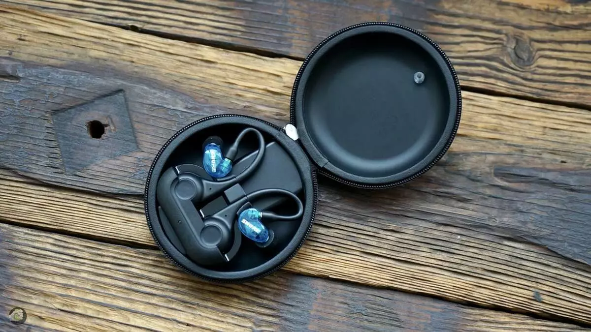 Shure Aonic 215 kõrvaklappide ülevaade 1056_5