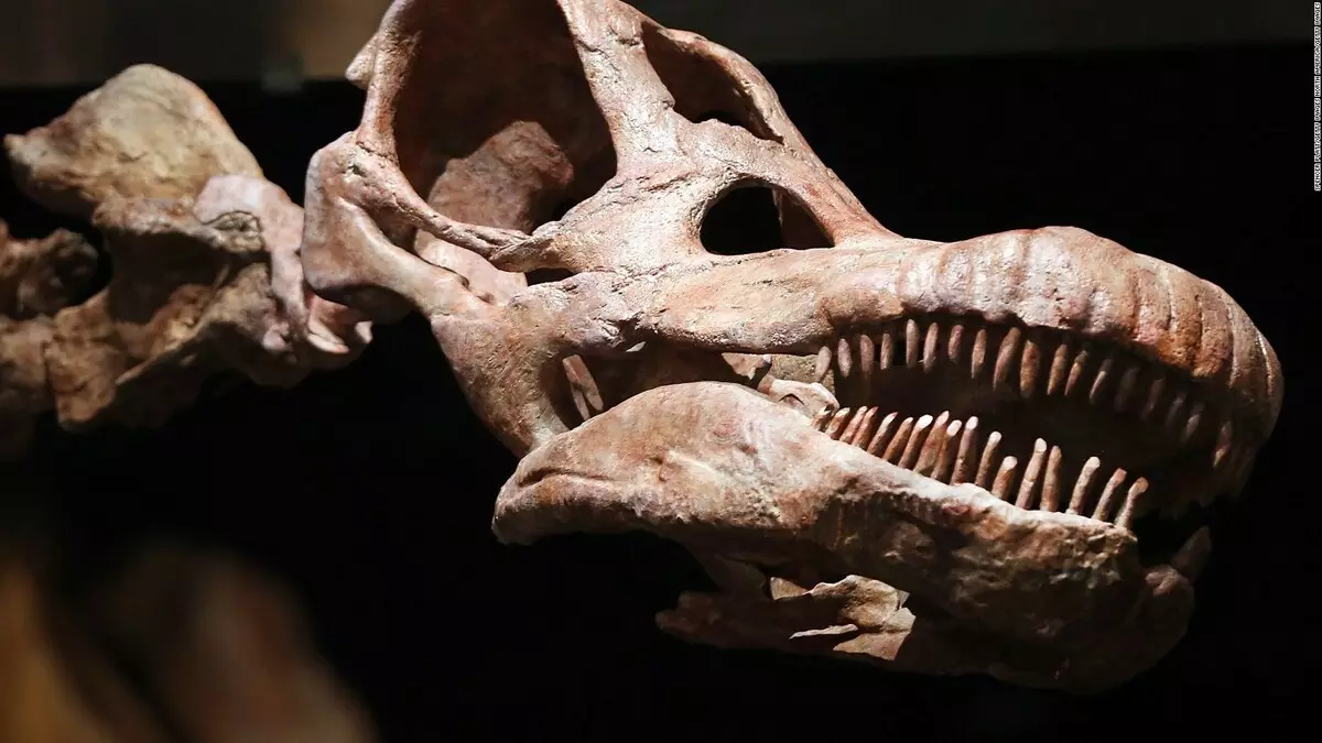 Ji ber vê yekê VR hewce ye: Dinosaurê herî mezin di nirxek rastîn de di vîdyoya 360-pileyî de 11607_0