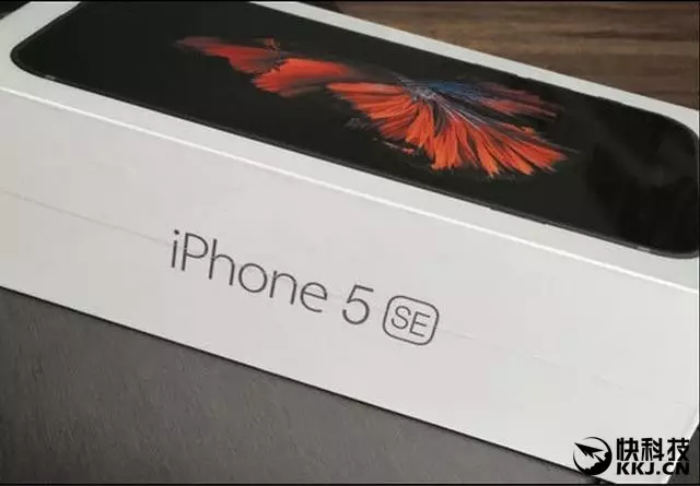 Ny fampahalalana rehetra momba ny iPhone 5SE (SE; e; 6c) ao amin'ny lahatsoratra iray 11610_7