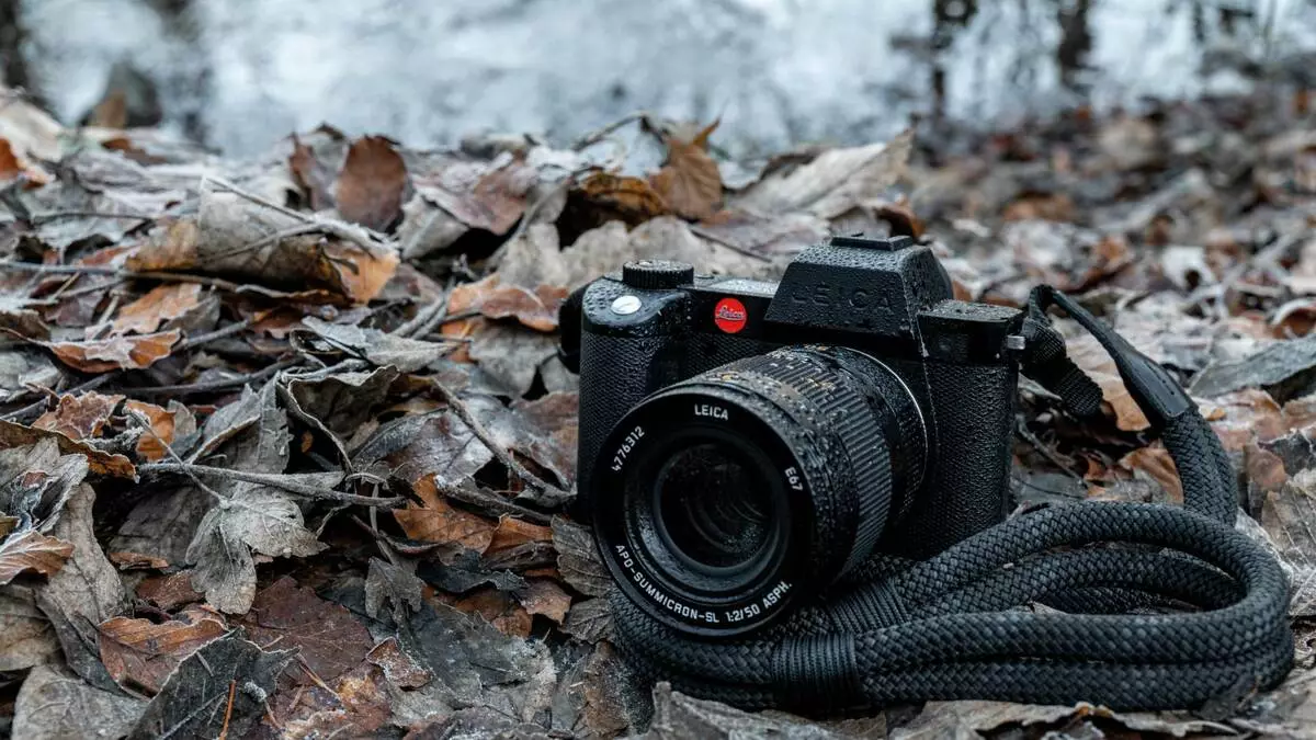 สิ่งประจำวัน: Leica SL2-S ที่ดีที่สุดในราคา $ 4895 1888_1