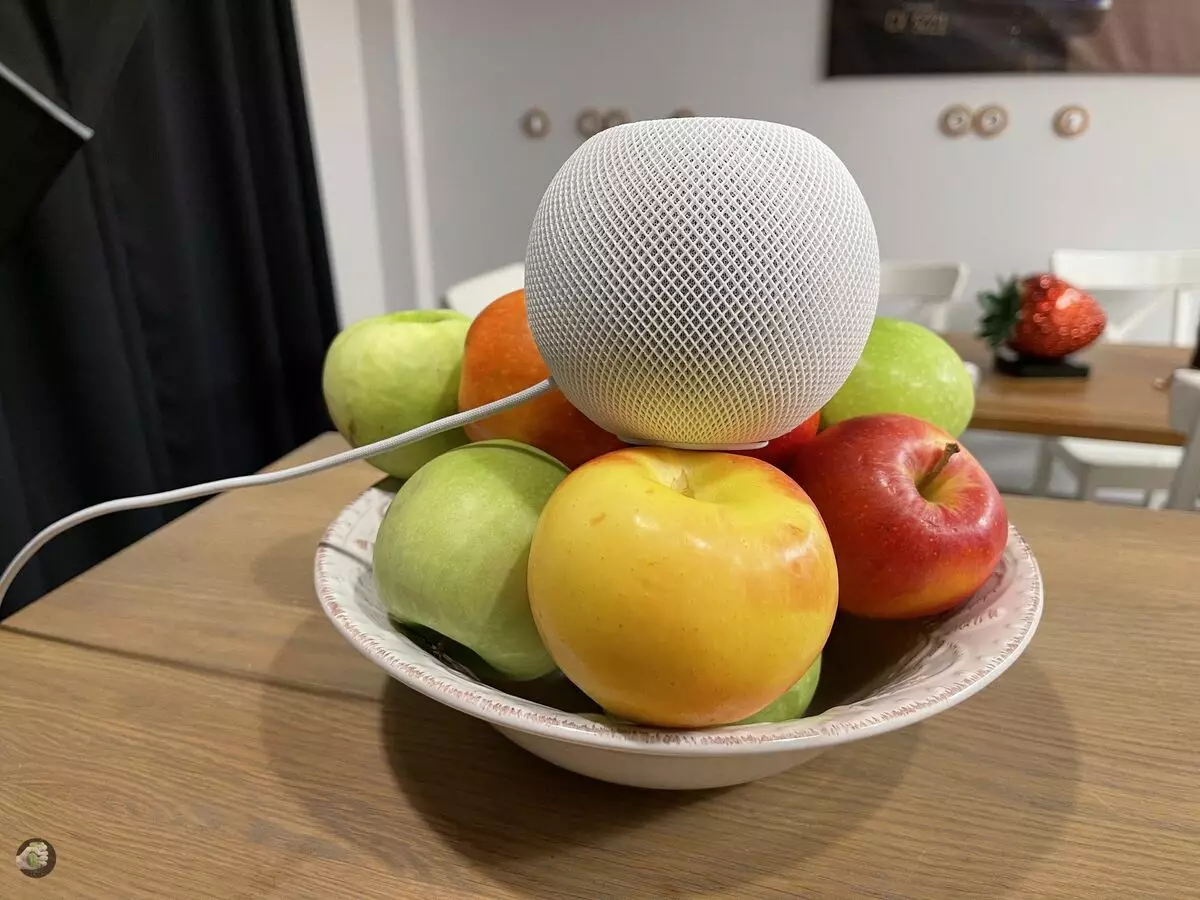 Vue d'ensemble du système Akoustical Apple HomePod Mini 1951_1