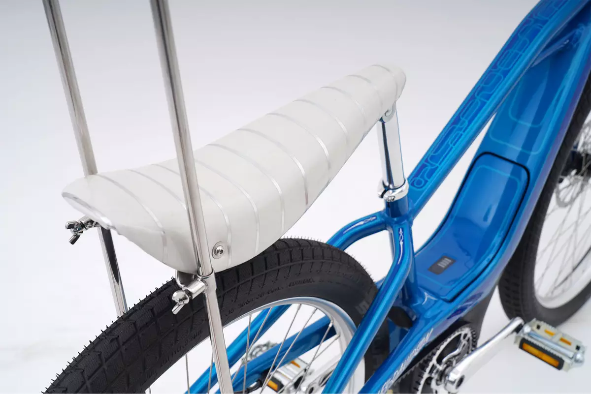 Күннің заты: әлемдегі жалғыз электр велосипедтерінің гарли-Дэвидсон сериясы 1 Мош / ұспақшы 207_3