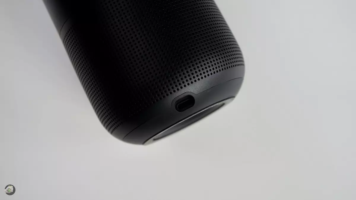 Bose პორტატული Home Speaker Column მიმოხილვა 2599_6