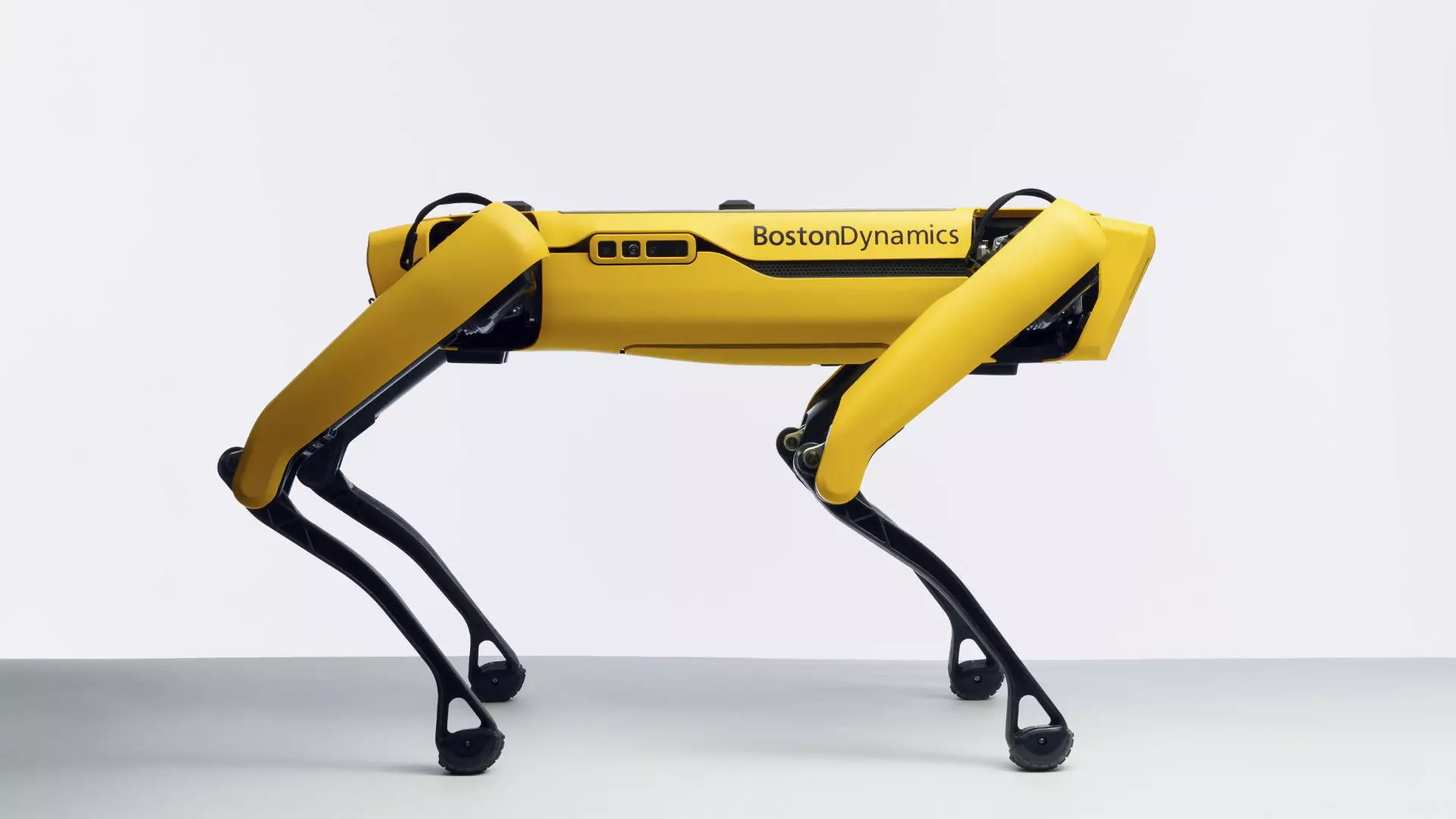 Boston Dynamics Spot Robot meni myyntiin