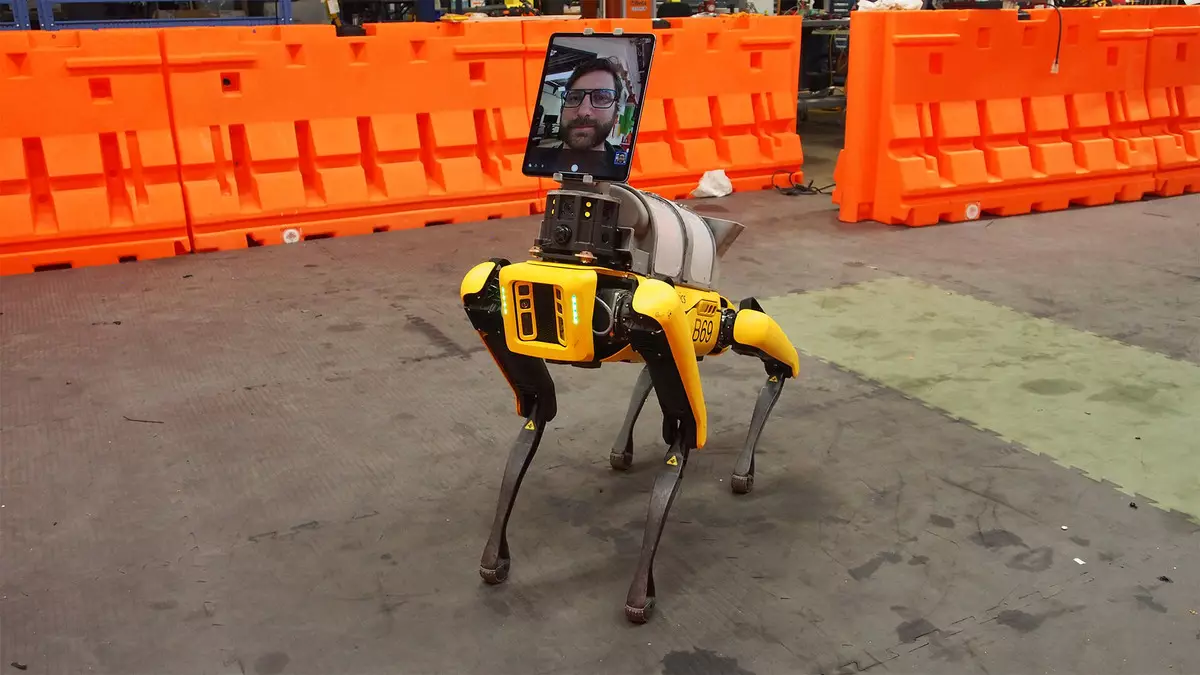 Həkimlər xəstə müayinə üçün Boston Dynamics robotlar istifadə