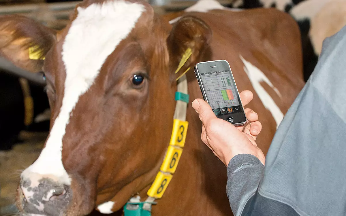 Tès MTS "Smart" detèktè pou bèt