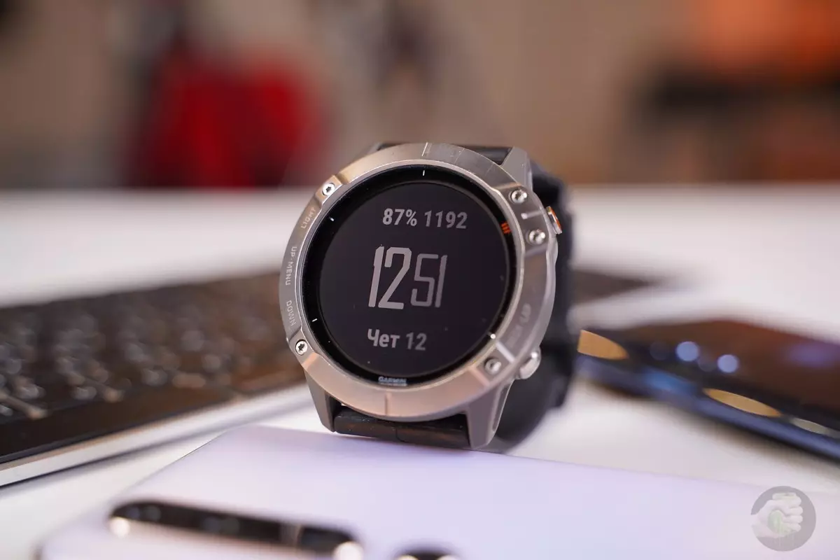 Descripción general Ver Garmin Fenix ​​6x Pro Solar con carga solar 3492_11