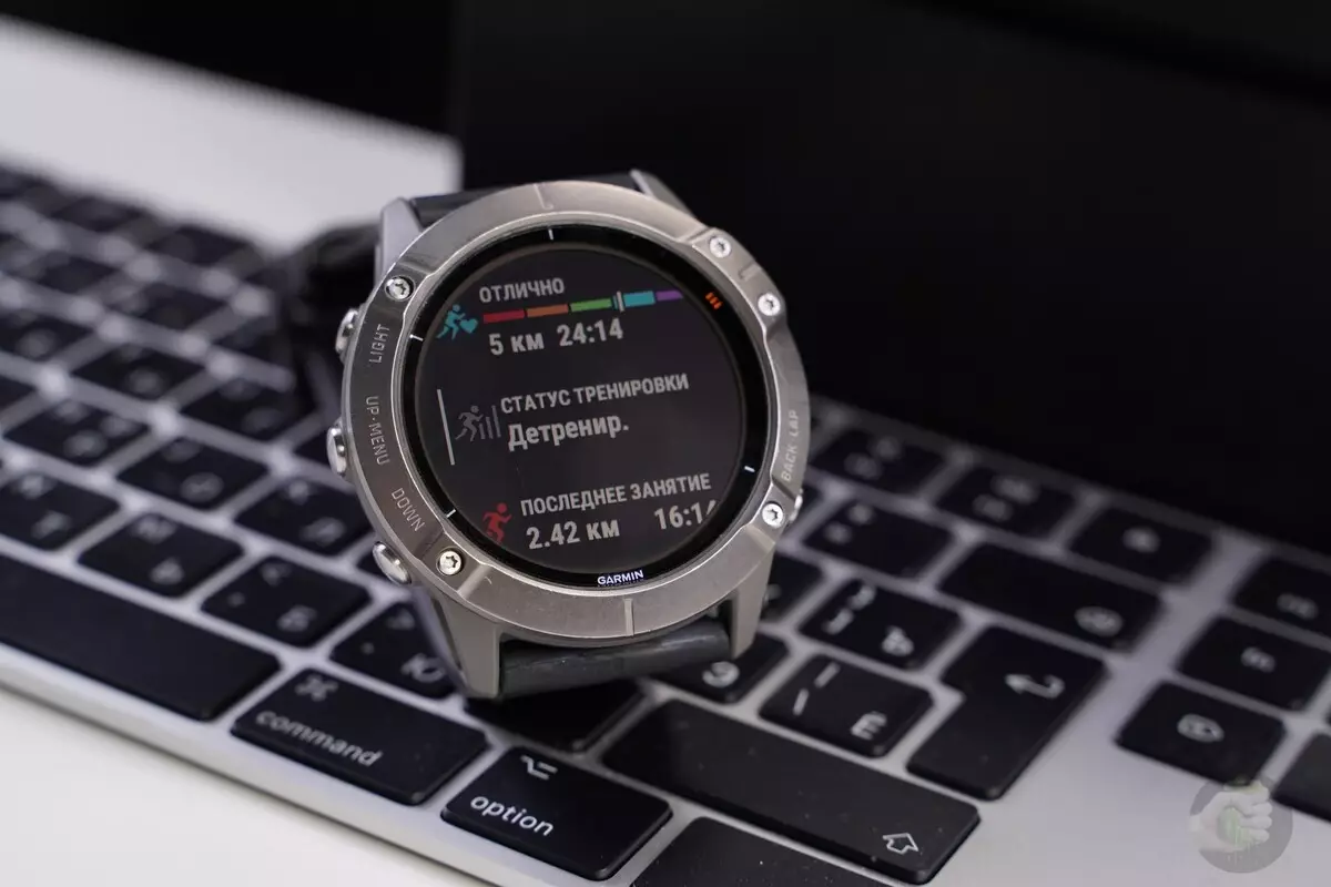 概述手表Garmin Fenix 6x Pro Solar，带太阳能充电 3492_4