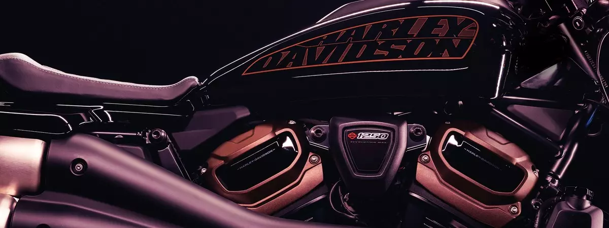 ფოტოკოტი: Brutal Harley-Davidson Sportster S Conquer გული ახალგაზრდა 376_4