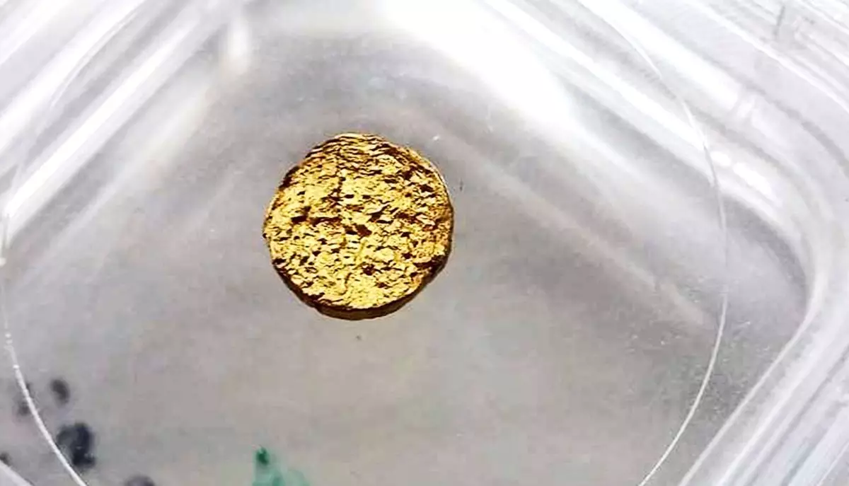 Swiss scientists turned plastic in gold 3852_1