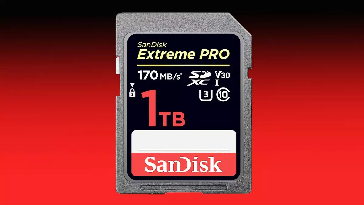 Very quickly and very expensive: a SD card appeared on 1 TB 4693_0