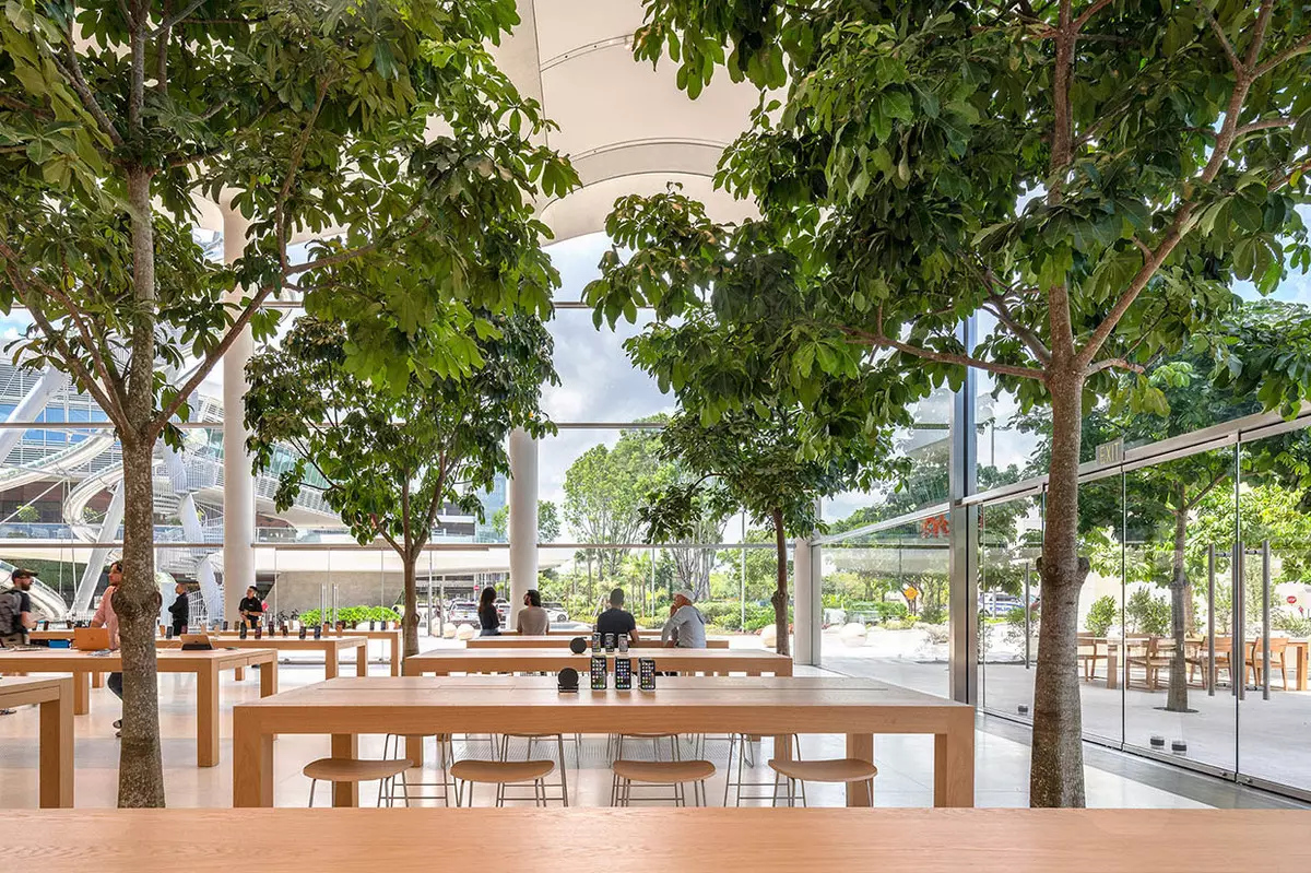 Look at the new Apple Store, built in Miami, with the participation of Johnny Quince 4759_2