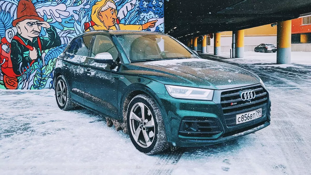 Wylsadrive: Mandresy ny ririnina ao amin'ny Audi Sq5 aho 5563_0