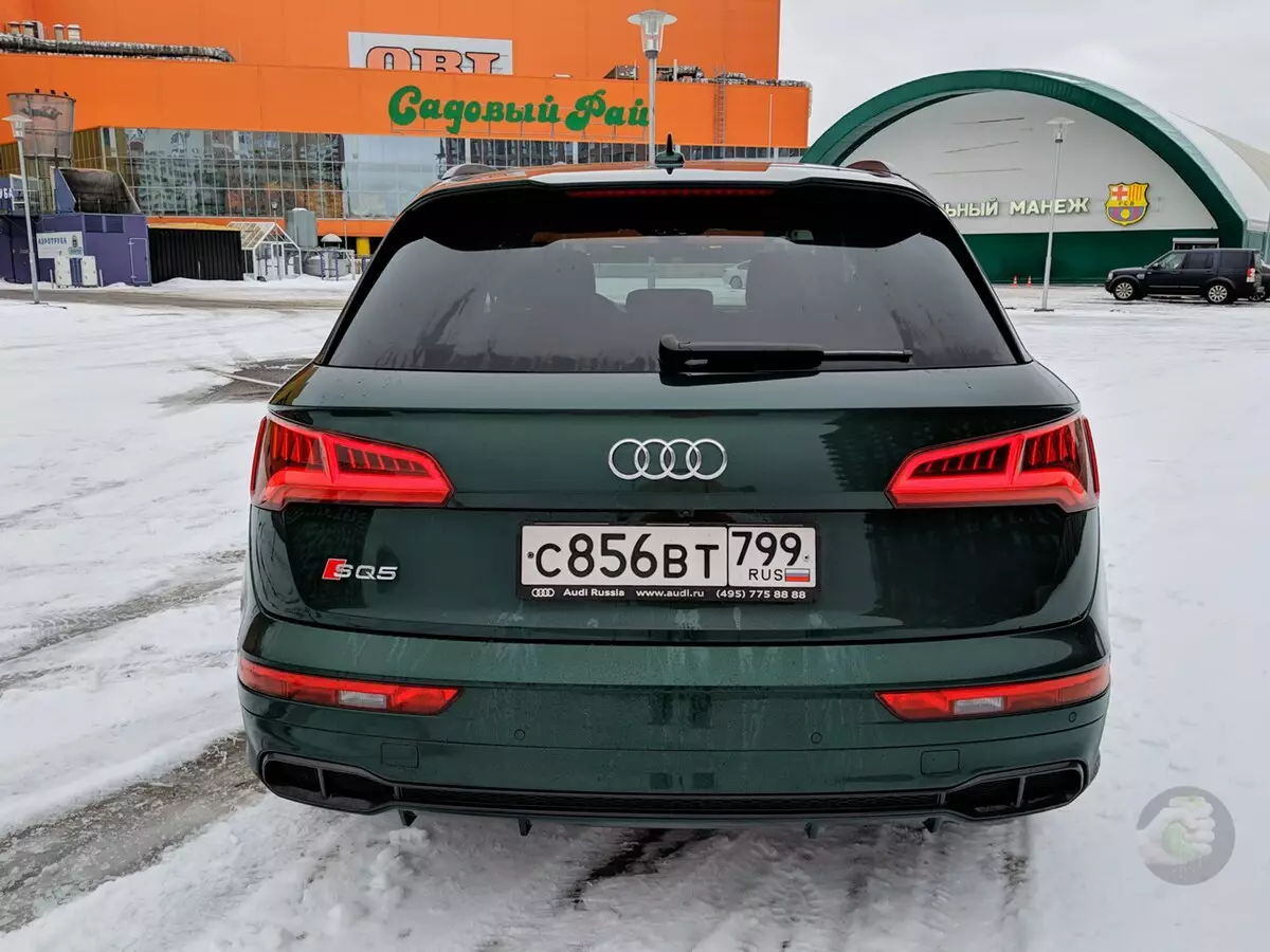 Wylsadrive: Mandresy ny ririnina ao amin'ny Audi Sq5 aho 5563_2