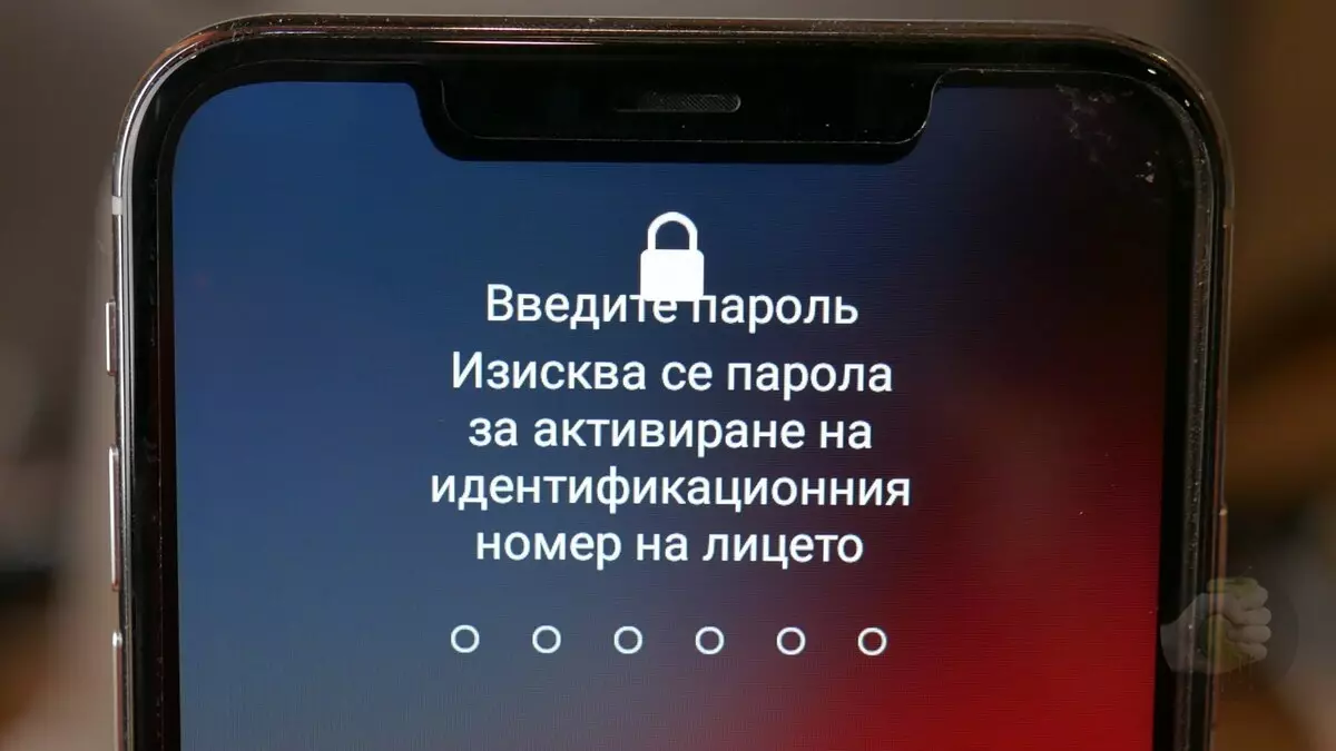 Prezentare generală a iPhone XS Max pentru 7.500 de ruble 6129_11