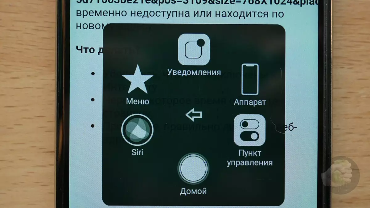 Prezentare generală a iPhone XS Max pentru 7.500 de ruble 6129_13