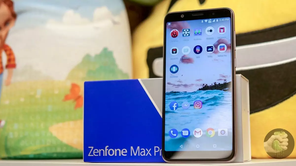 Visión xeral Asus Zenfone Max Pro (M1): Heroe medio 6727_2