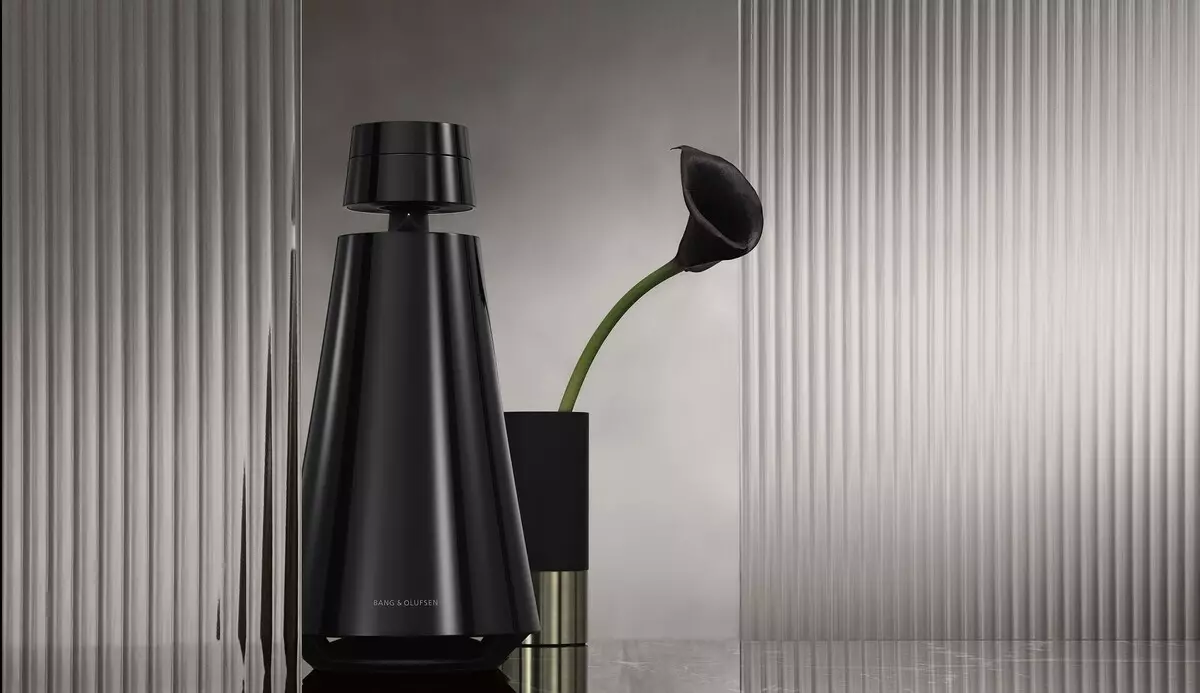 5 бірегей бағандар BeoSound аукционда Bang & Olufsen сату 1 6728_0