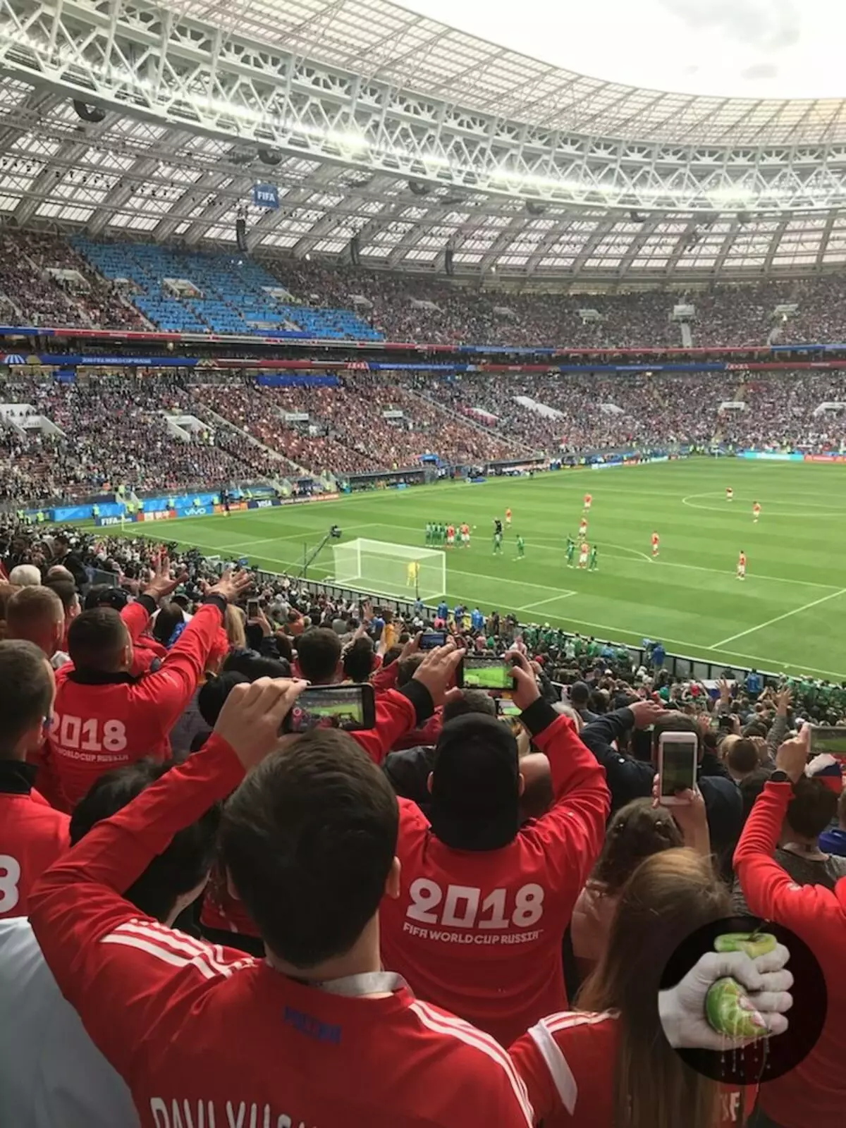 हम लुज़्निकी विजय मैच में कैसे देखा रूस: सऊदी अरब 6846_9