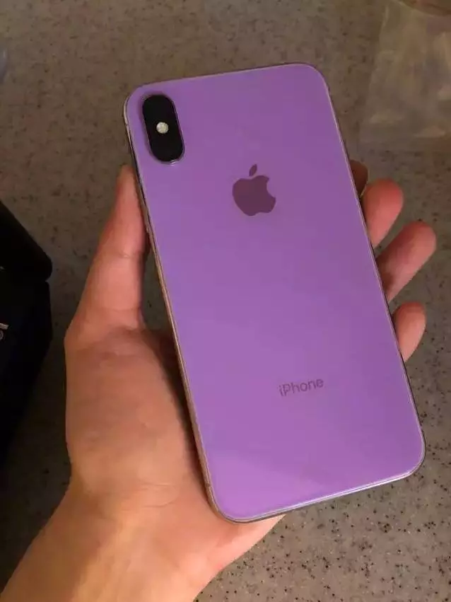 Er verscheen foto's van Color Prototypes iPhone X 6950_1