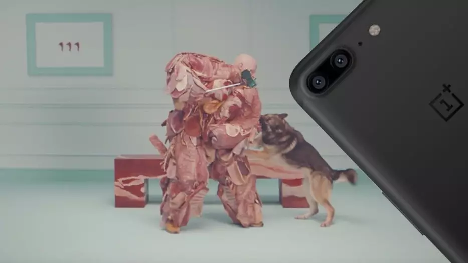 פרסומת פרסומת Oneplus 5T עם בשר רעב כלב 7746_0