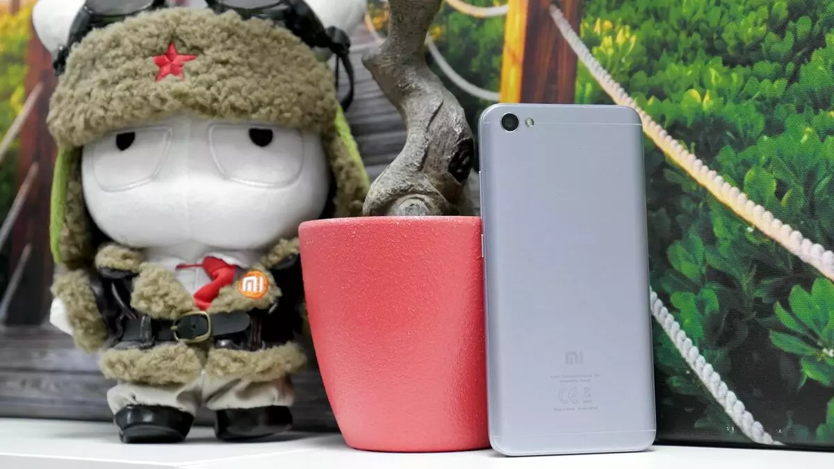 Огляд Xiaomi Redmi Note 5А: бюджетний один з великим екраном 8047_0