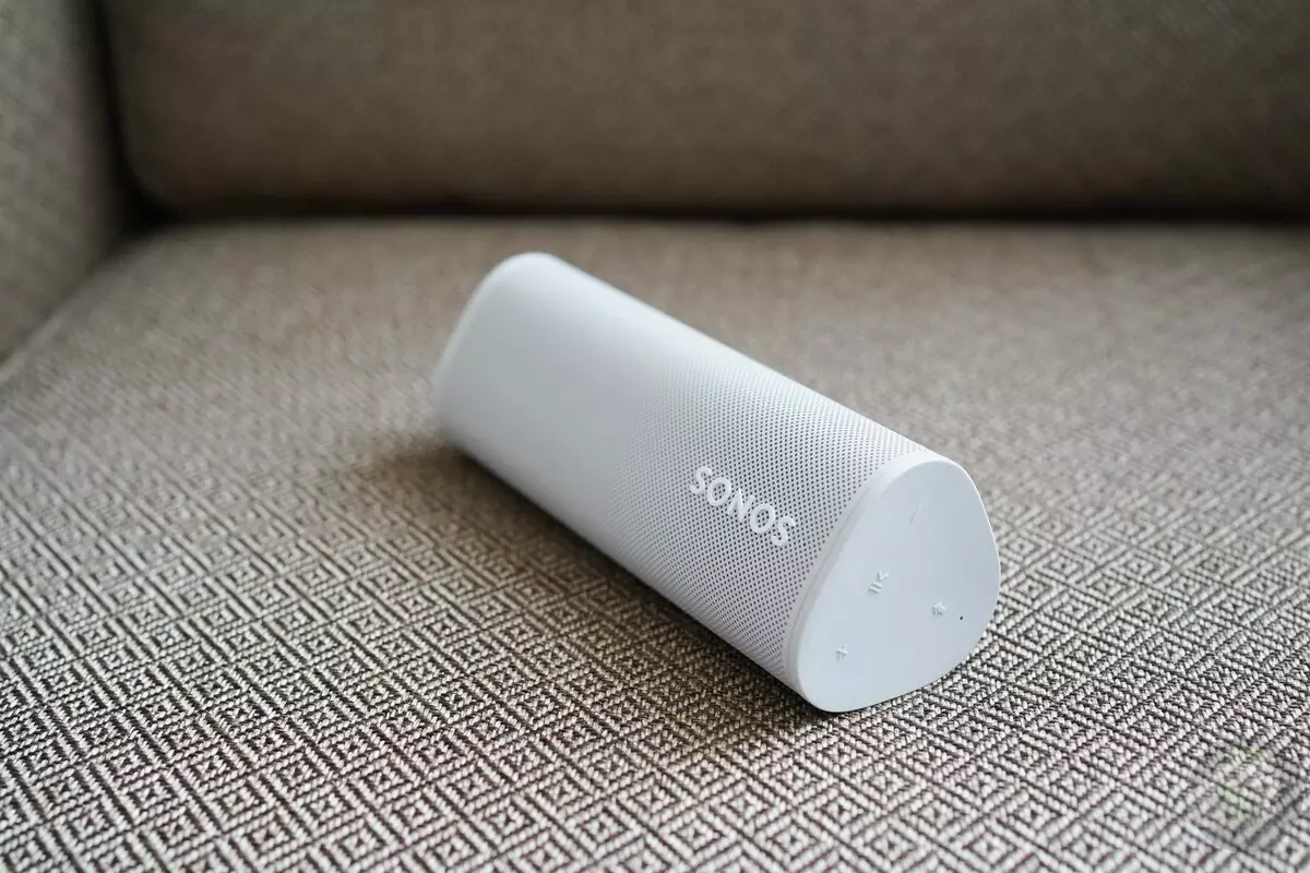 Baxış Sonos Roam: kiçik 