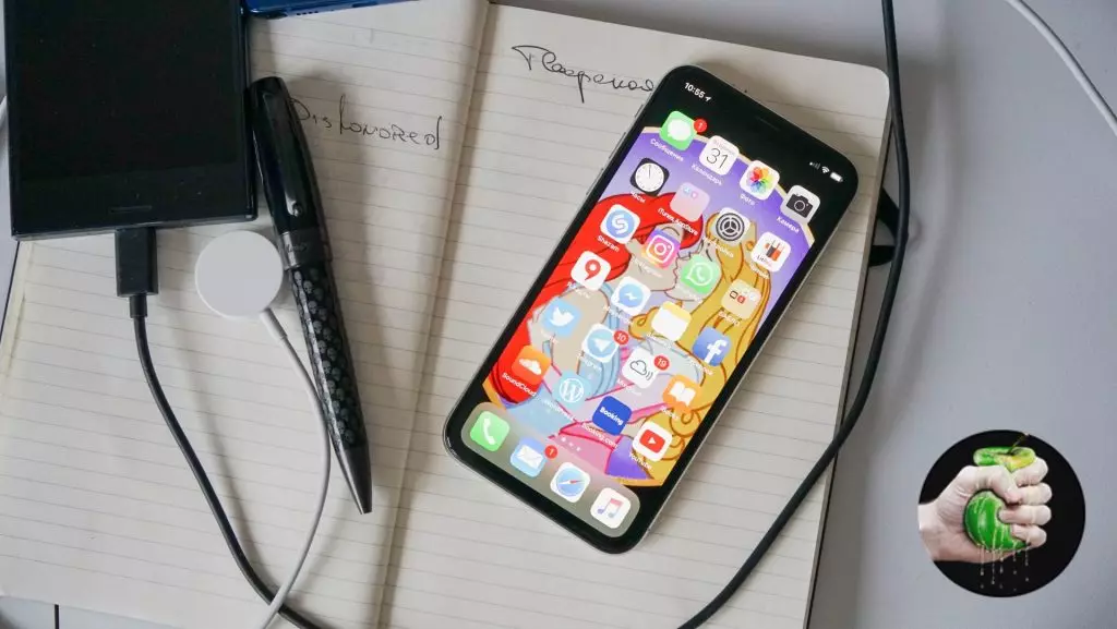 Quels sont les examinateurs slold Apple iPhone X? 8132_10