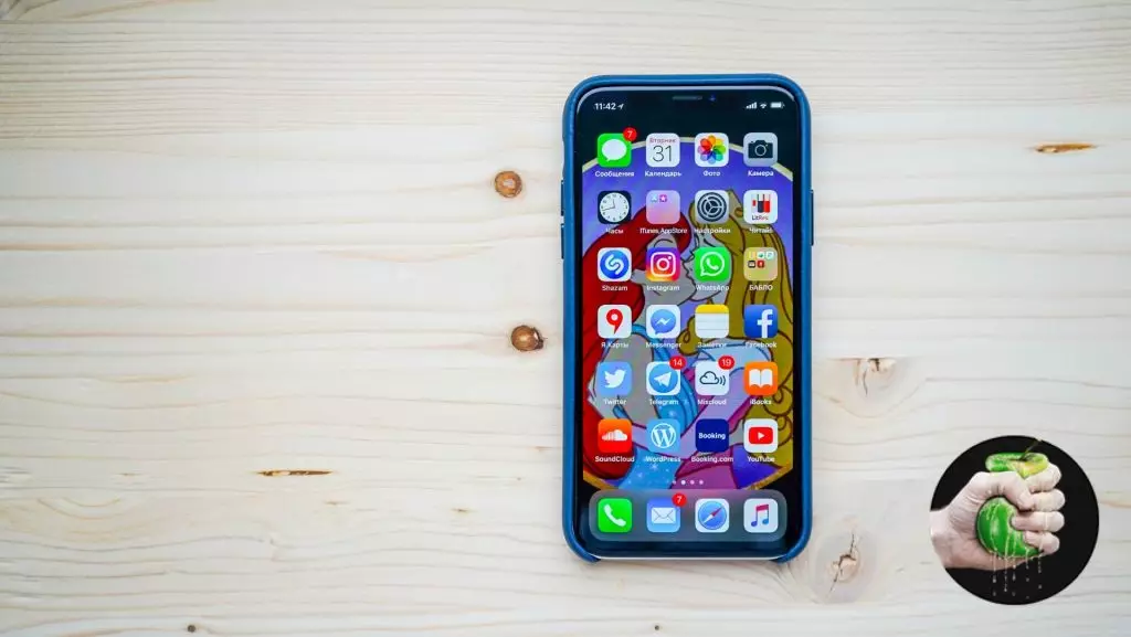 Sizama izixhobo ze-Apple ze-iPhone X (kunye ne-folio ye-rubles ezingama-7490) 8145_15