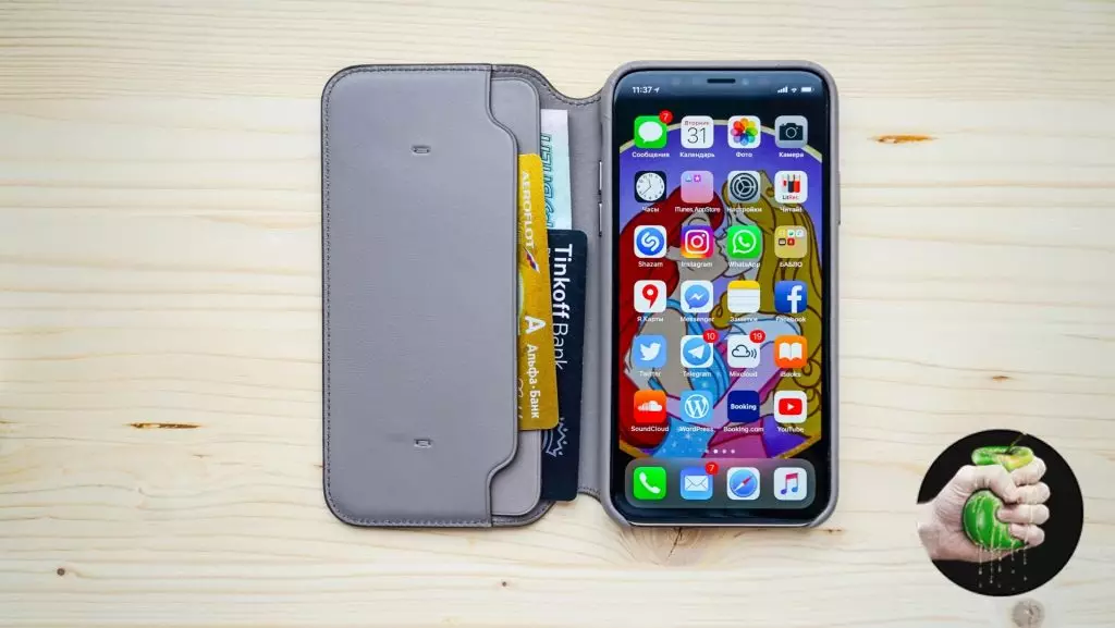 Sizama izixhobo ze-Apple ze-iPhone X (kunye ne-folio ye-rubles ezingama-7490) 8145_5