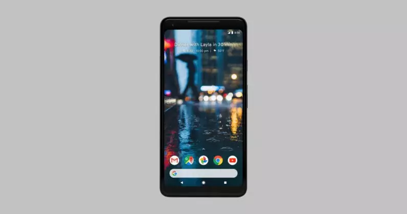 New Mobile Google Chip is hidden in all Pixel 2, but the company did not activate it 8210_0