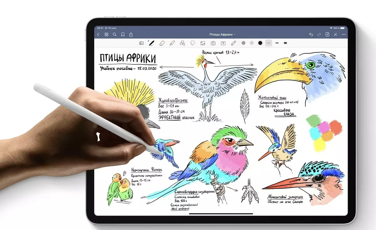 iPad Pro (2021) iPad Pro (2020) : 차이를 찾고 837_3